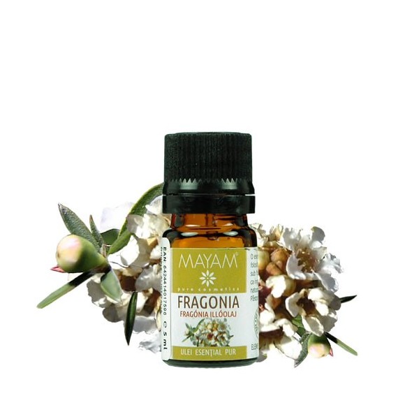 Apprivoiser sa nature cyclique - Semaphorus